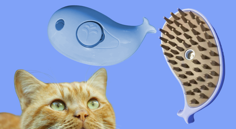 This Steam Brush Changed How I Groom My Cat – Mountaineer Journal