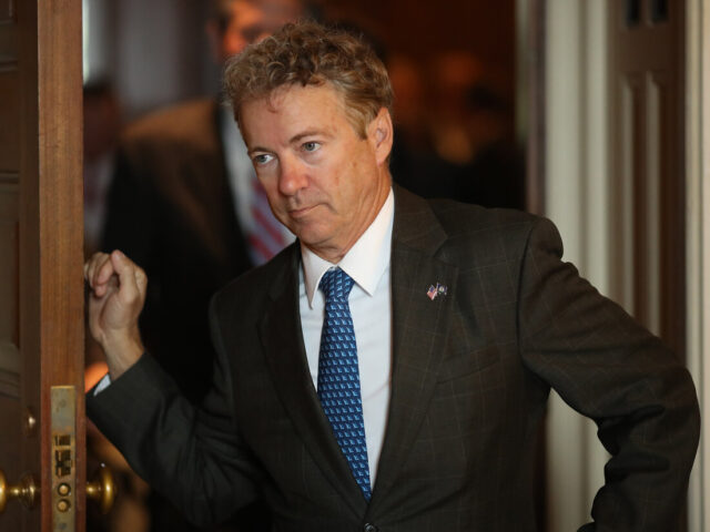 U.S. Government Spends Millions on Controversial Cat Torture Experiments